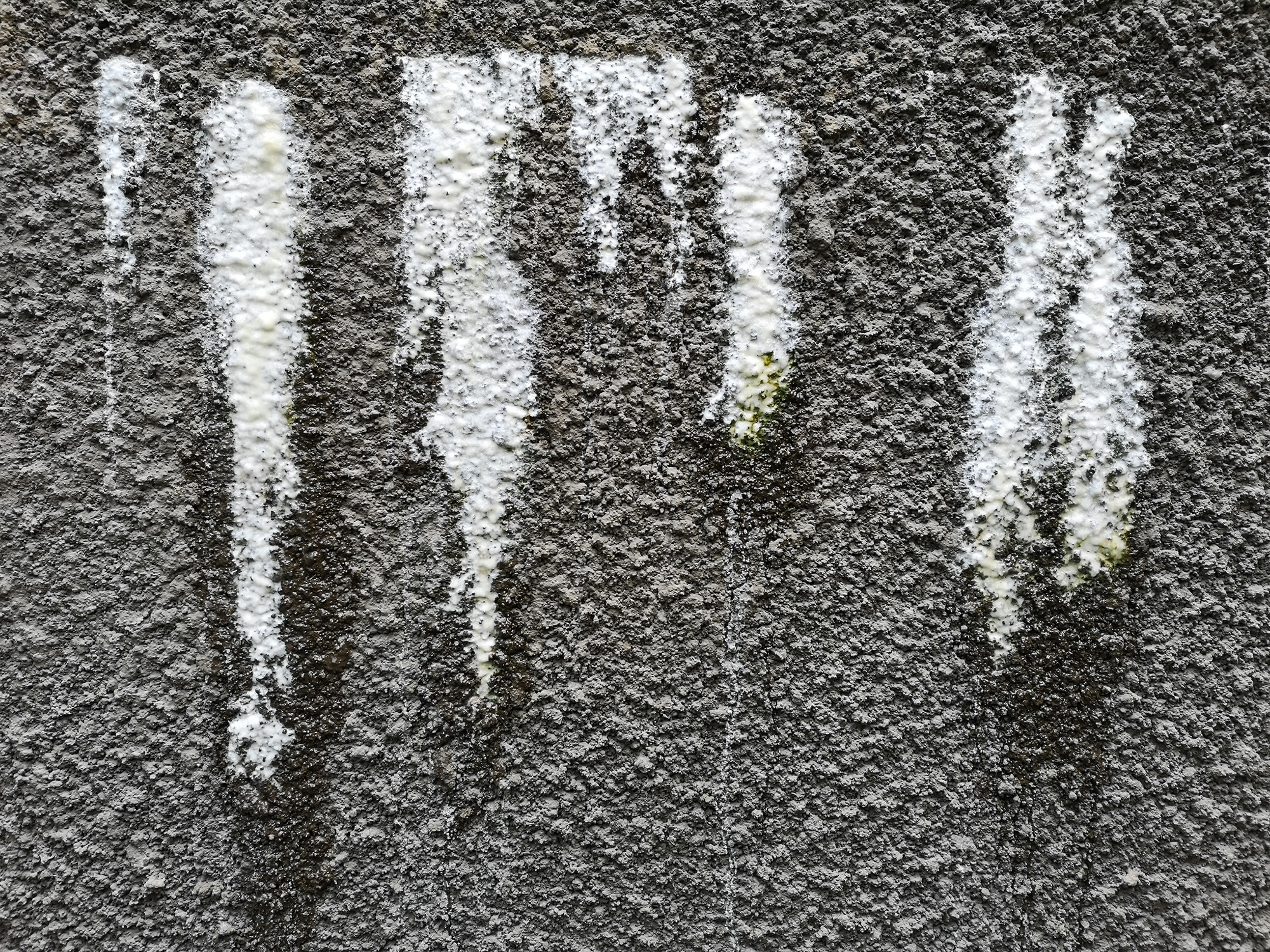 Efflorescence on Concrete Pool Decks: A Quick Guide